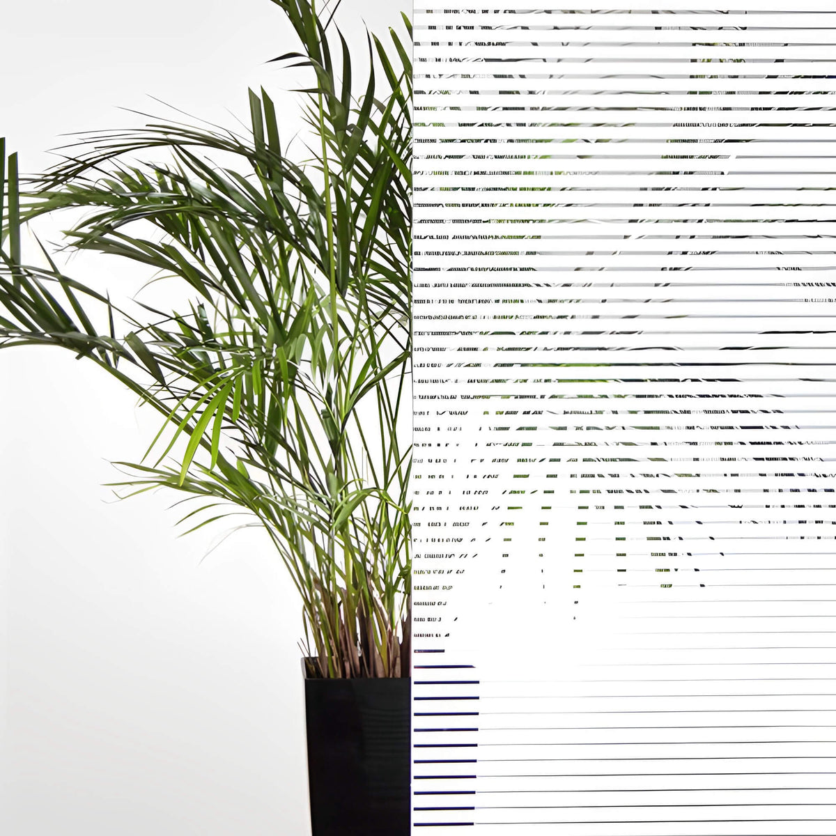 White Venetian Stripe Frosted Window Graphic – Glass Tint Direct